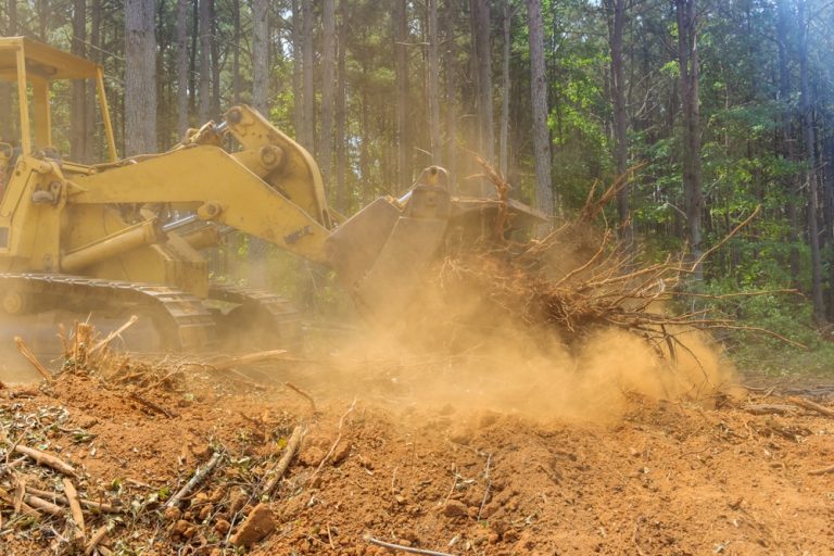 The Importance of Land Clearing: An Essential Guide - Randy Roan ...